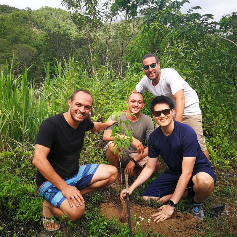 Unterstütze unser Aufforstungsprojekt! Jetzt Baum pflanzen
